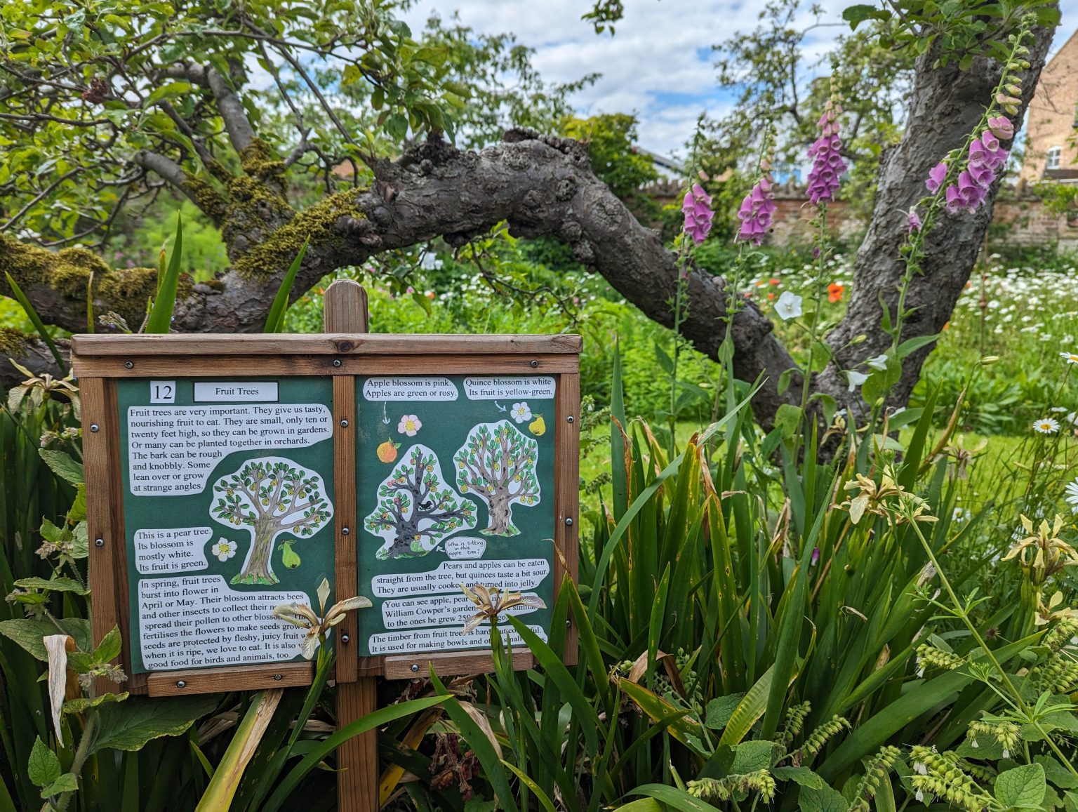 Museum Events | Cowper & Newton Museum