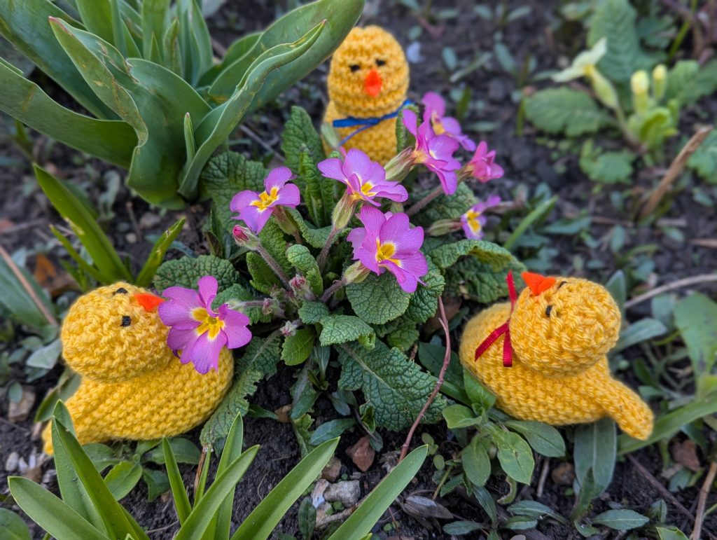 Easter Fun For Everyone! | Cowper & Newton Museum